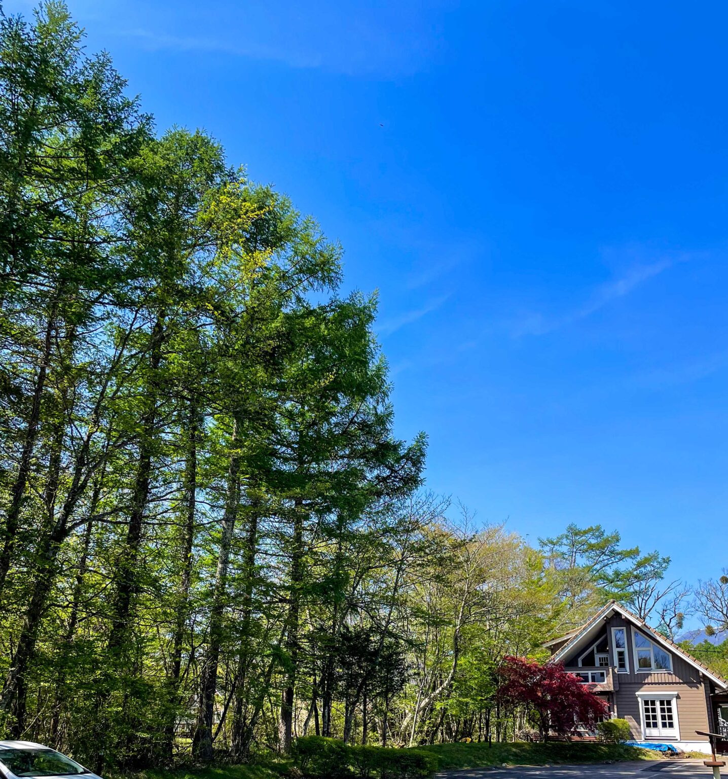 ホンカ富士北麓 STAFF’S BLOG | HONKA JAPAN Official Dealer Blog