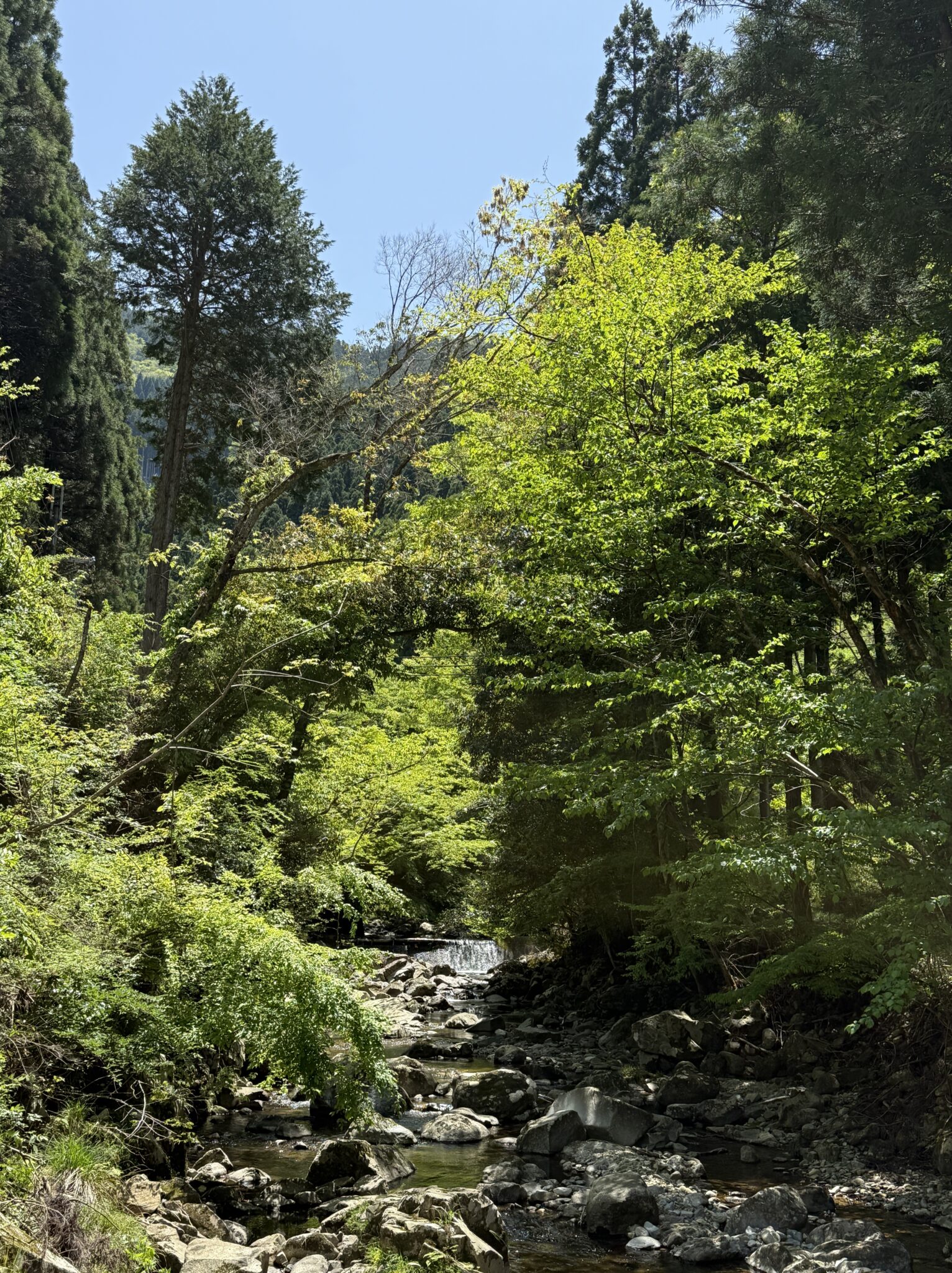 ホンカ姫路 STAFF'S BLOG | HONKA JAPAN Official Dealer Blog